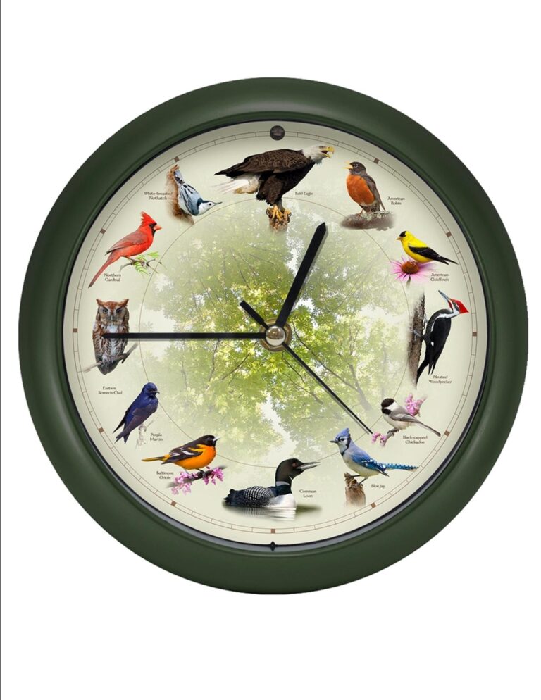 20th anniversary Singing Bird Clock - Northwest Nature Shop